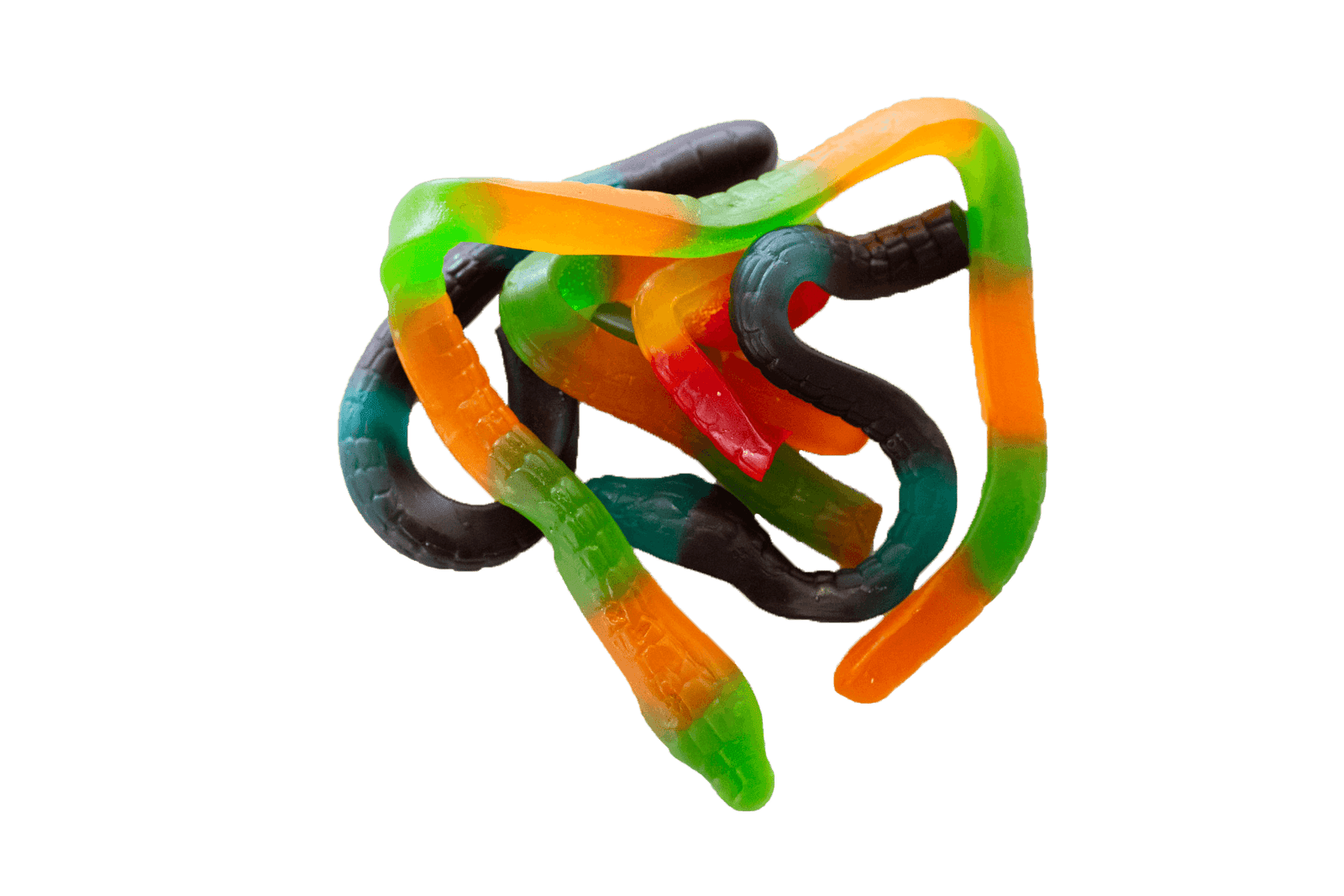 gummy python